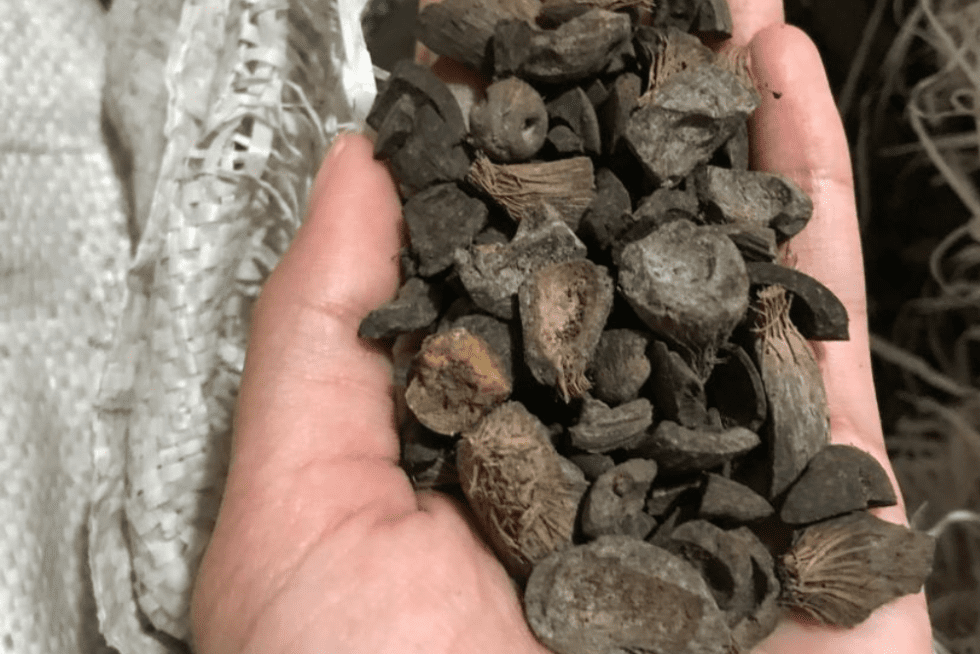 Cangkang Sawit - Jual Wood Pellet Biomassa Pet Litter & Kompor Wood ...